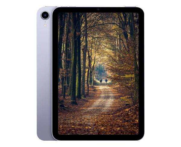 Apple iPad mini Wi-Fi 128GB - Purple – Apple – Tablets