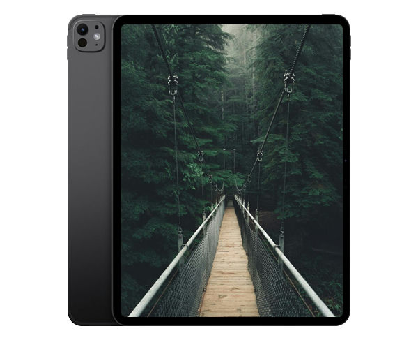 Apple iPad Pro M4 11-inch Wi-Fi + Cellular 1TB with Nano-Texture Glass ...