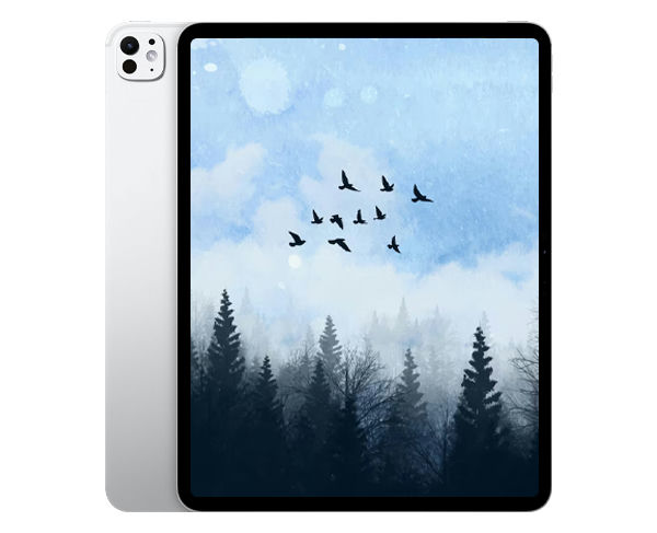 Apple iPad Pro M4 13-inch Wi-Fi + Cellular 256GB with Standard Glass ...